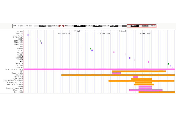 Home - Chromosome 18