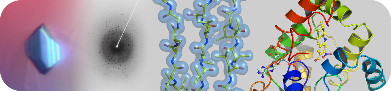Home - Structural Biology