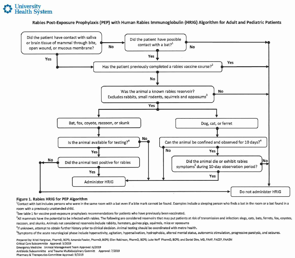 Animal Bite Trauma Protocols